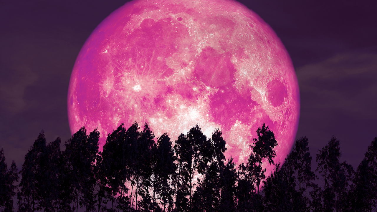 Descubra o poder da Lua Rosa e como aproveitar sua energia para o amor ...