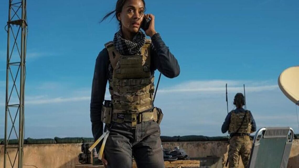 Operação Lioness 3ª temporada confirmada, mas com mistérios